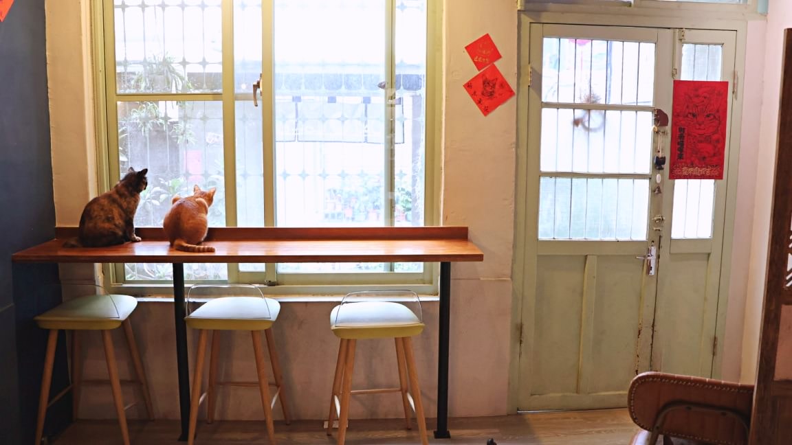 雪咖啡 yuki coffee｜行天宮深夜貓咪咖啡廳，溫馨可愛 – 瑪西隨筆